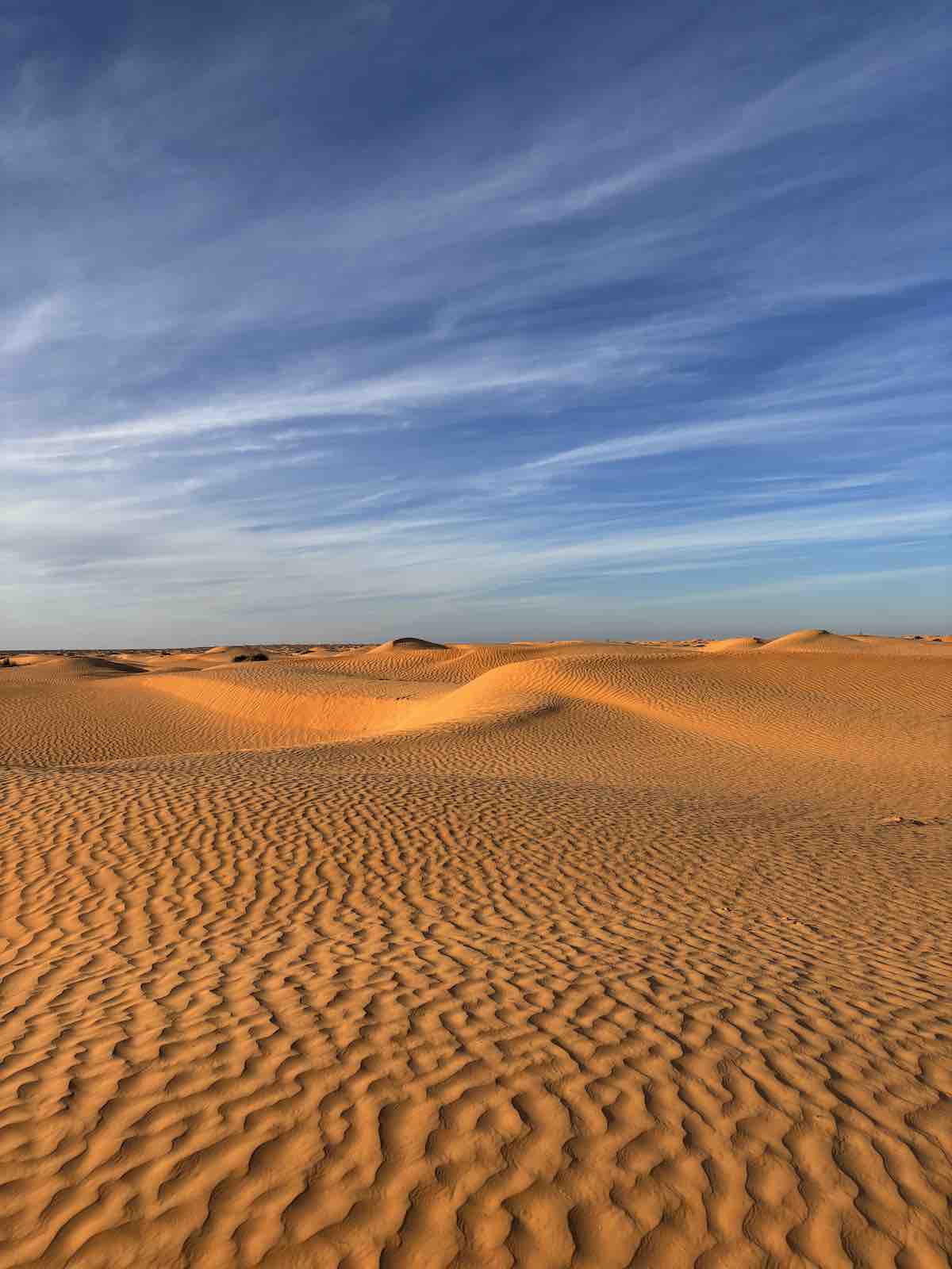 Tunisie en camping-car: tout ce qu’il faut savoir - French Sun Seekers